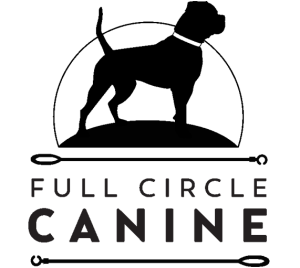 RunLoyal | Dog Business Software | Boarding, Daycare, Grooming & More